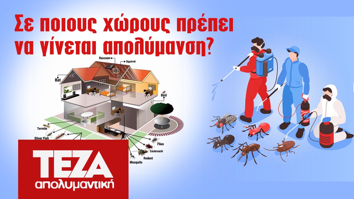 Πότε είναι η κατάλληλη εποχή για απολύμανση; - Απολυμάνσεις ...