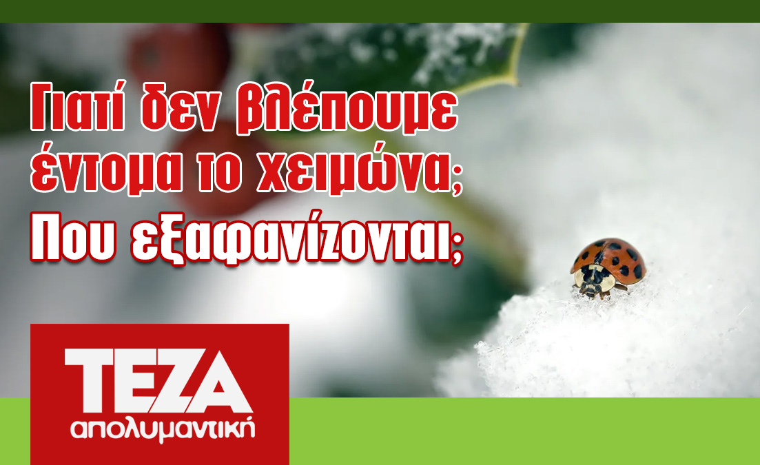 Γιατί εξαφανίζονται τα έντομα το χειμώνα; - Απολυμάνσεις - Απεντομώσεις ...